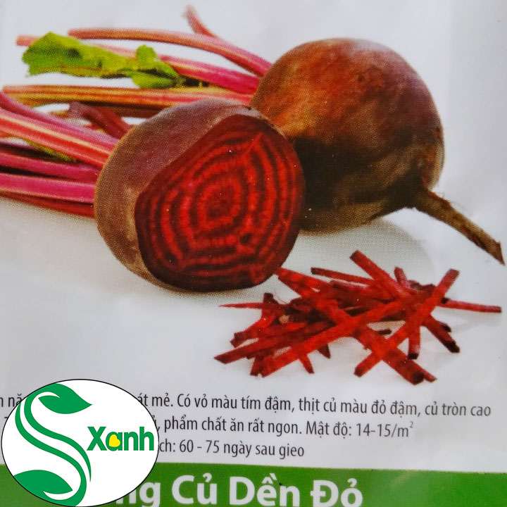 HẠT GIỐNG CỦ DỀN ĐỎ 5gr CỦ TO, ĂN NGỌT - Cây cảnh S-Xanh